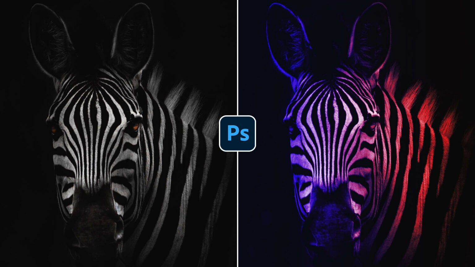 How to Create a Mockup in Photoshop - Cylindrical Transform Warp - Mypstips
